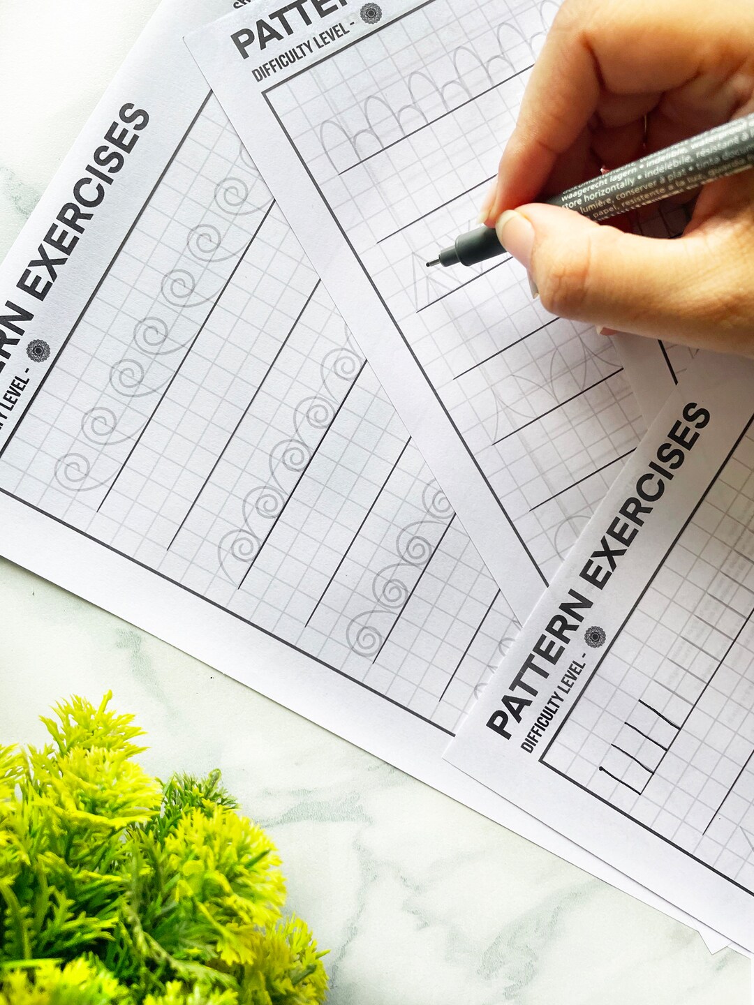 Mandala Practice Sheets - 5 , Mandala Pattern Sheets,digital Downloads ...