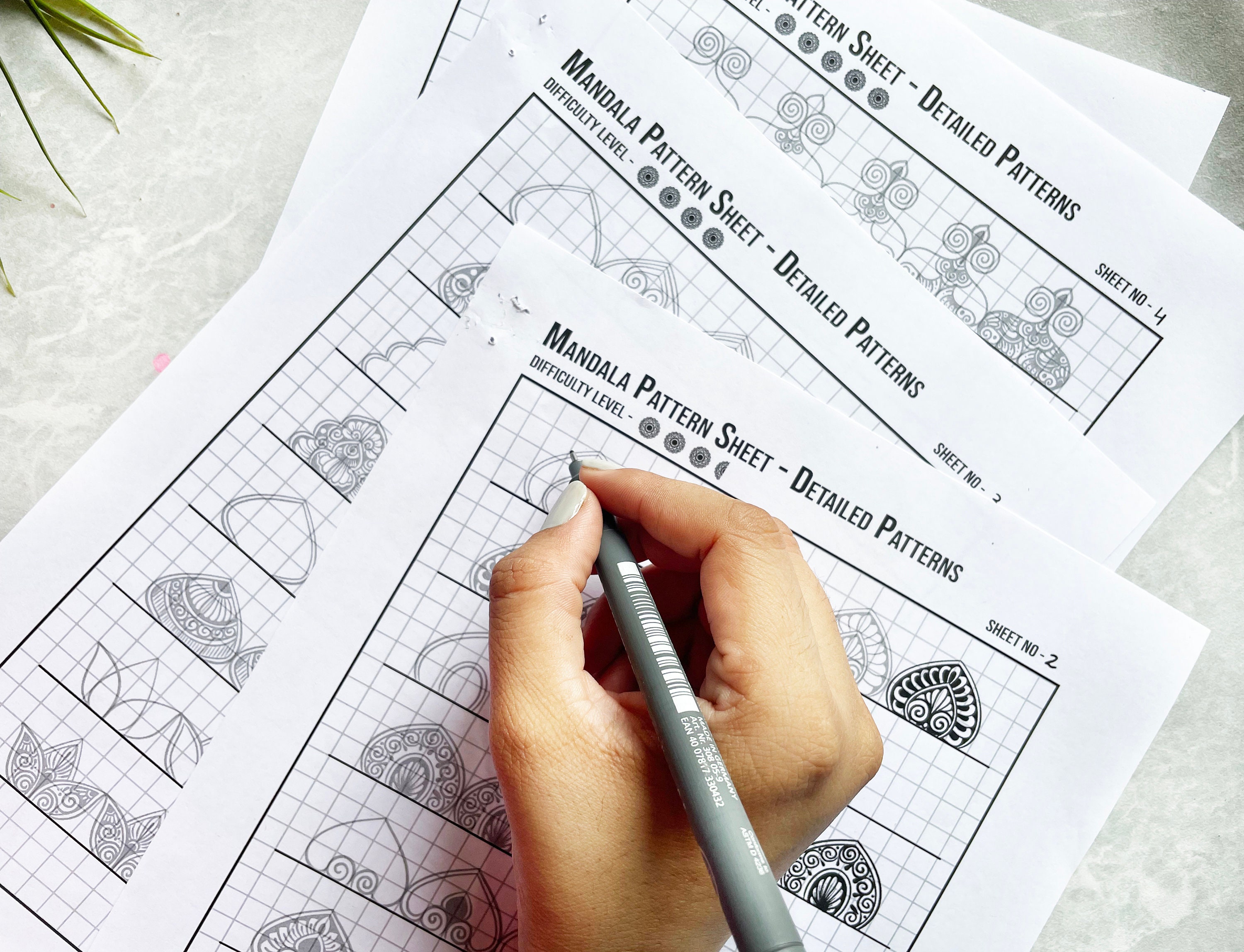 Mandala Pattern Sheets 10 BASICINTRICATE Mandala Practice - Etsy