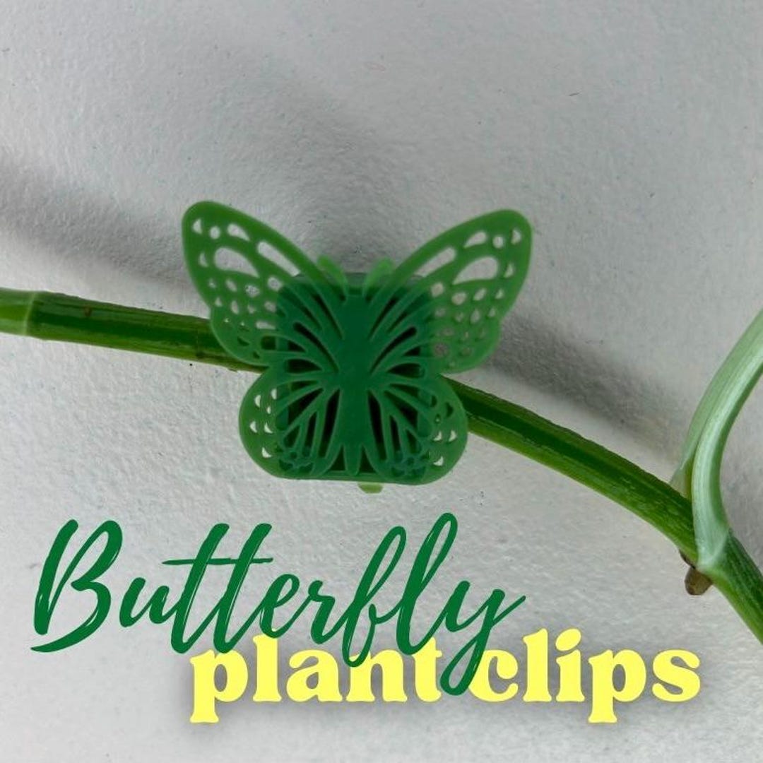 10 Butterfly Plant Clips With Adhesive. for Trailing Plants and Vines ...