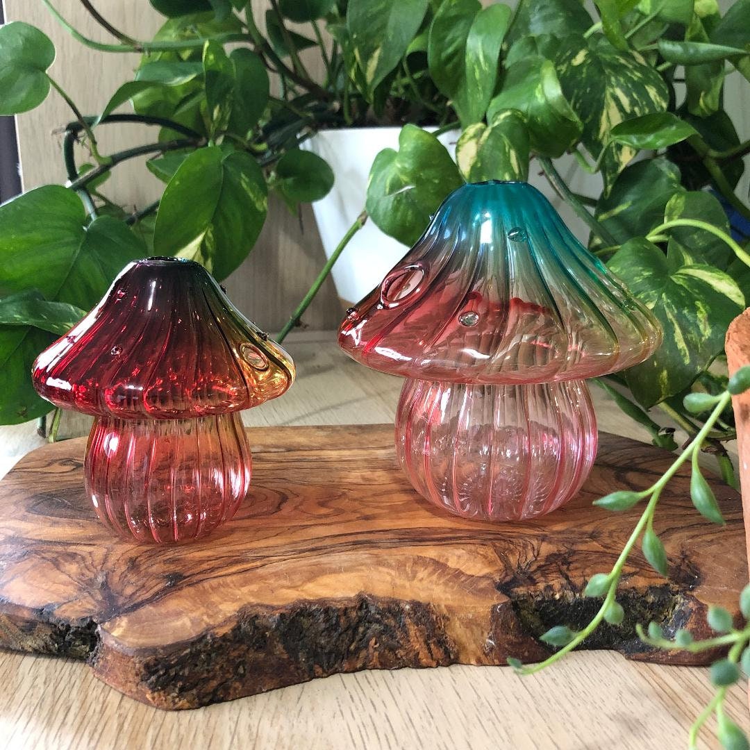Glass Mushroom Vase / Propagation Vessel - Etsy