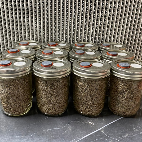Cake in a Jar - Etsy