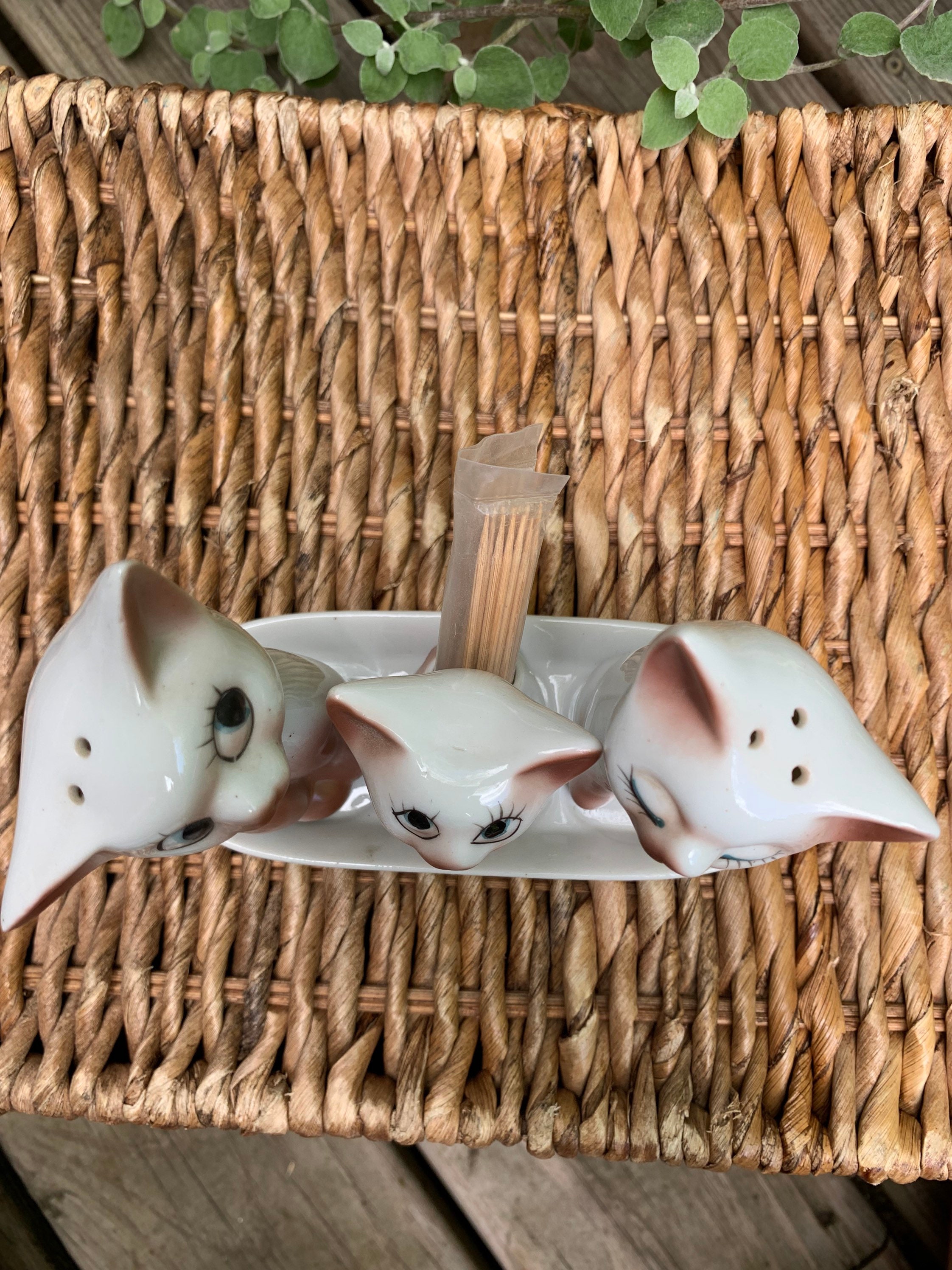 Vintage Siamese Cat Family Salt and Pepper Set - Etsy