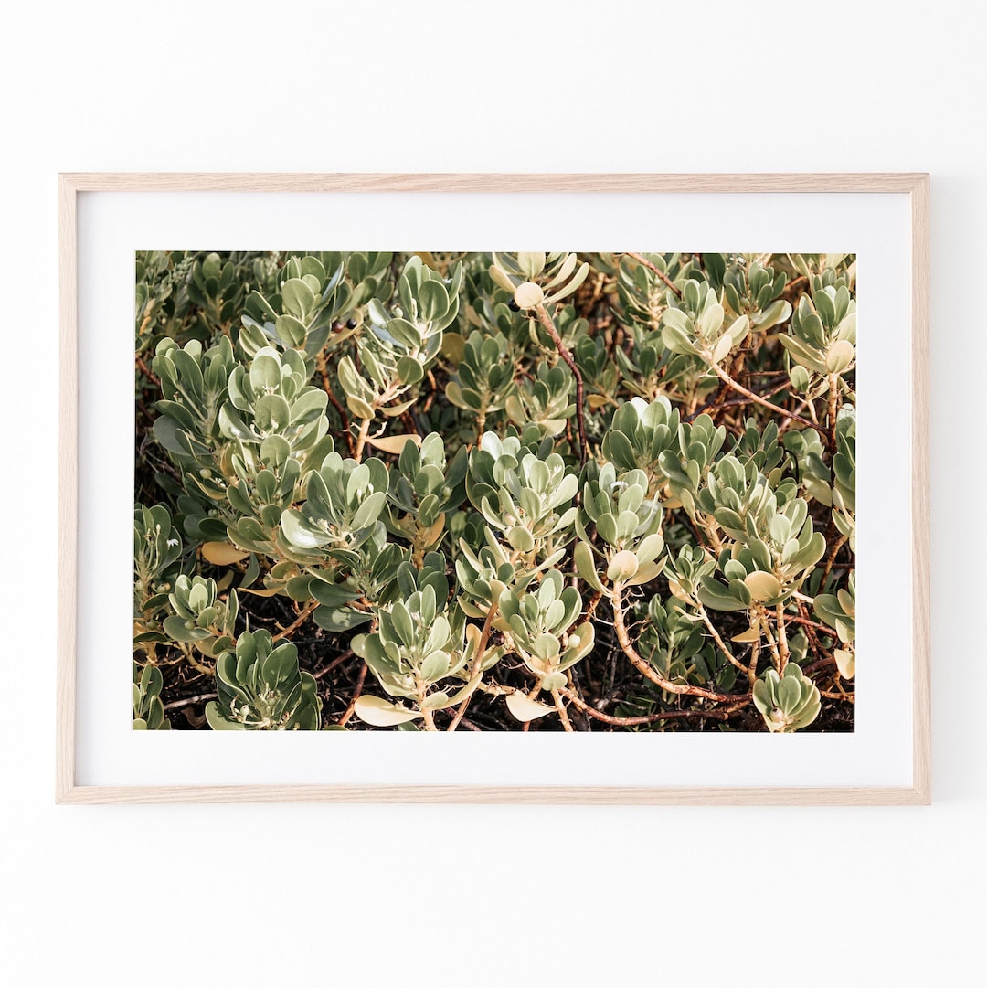 Ink Berry Beach Plants Printable Photography - Etsy