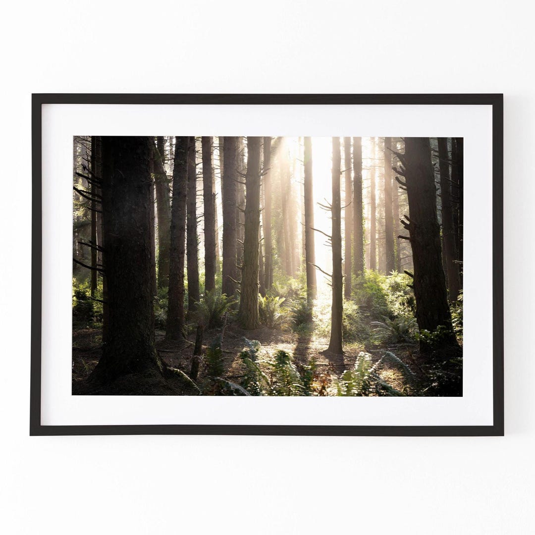 Forest Wall Art Print | Sunlight Through Trees Photography | Nature ...