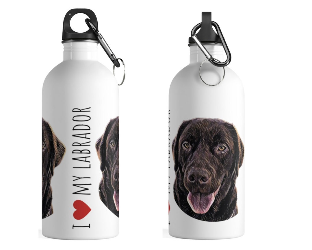 Stainless Steel Water Bottle Chocolate Labrador Retriever 14oz, Dogs ...