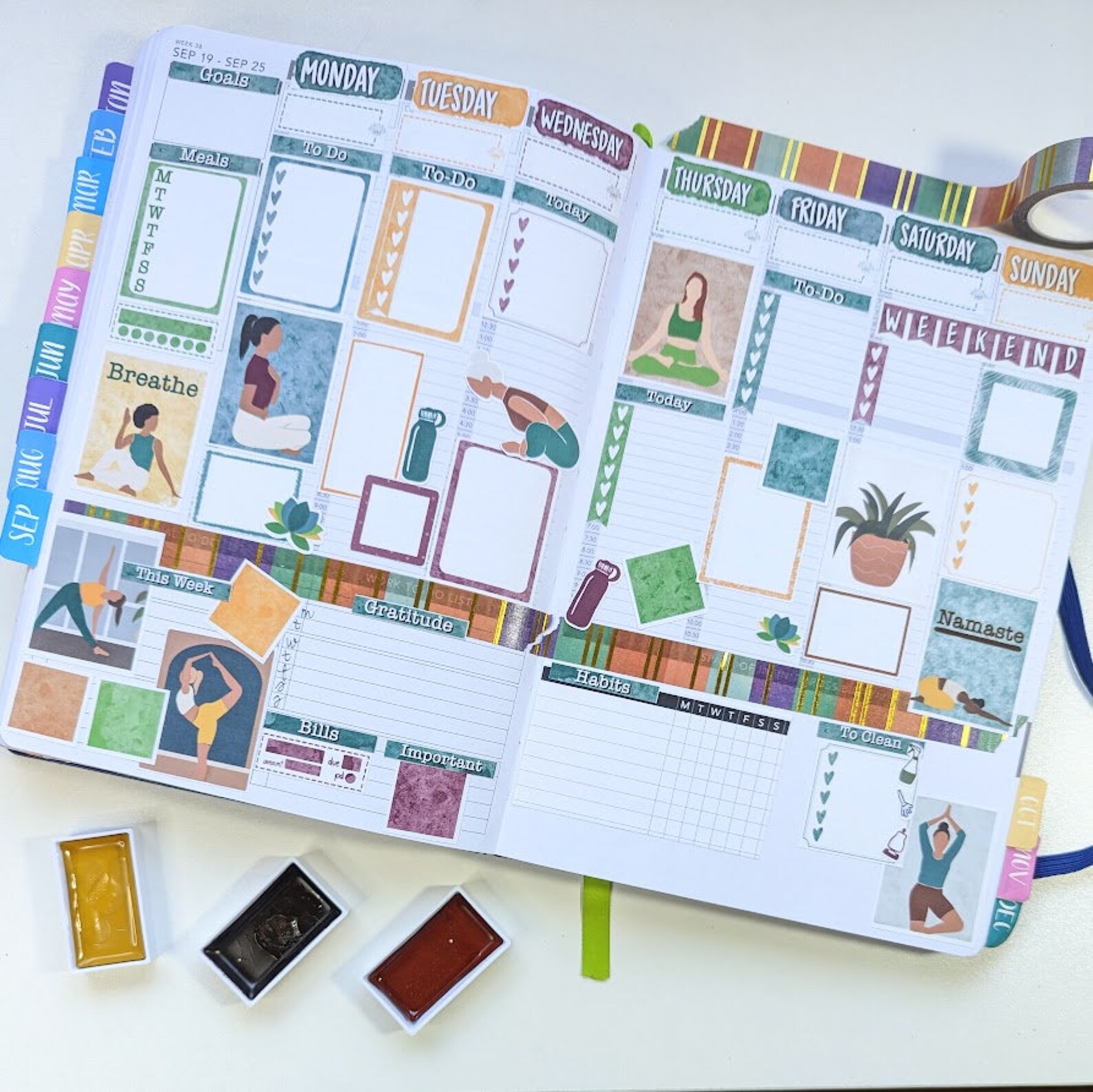 Plants and Poses: Mixed Boxes - Etsy