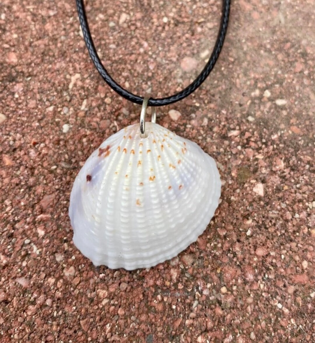 SHELL NECKLACES, Beach Jewelry, Shell Jewelry, Ocean Jewelry, Ocean ...