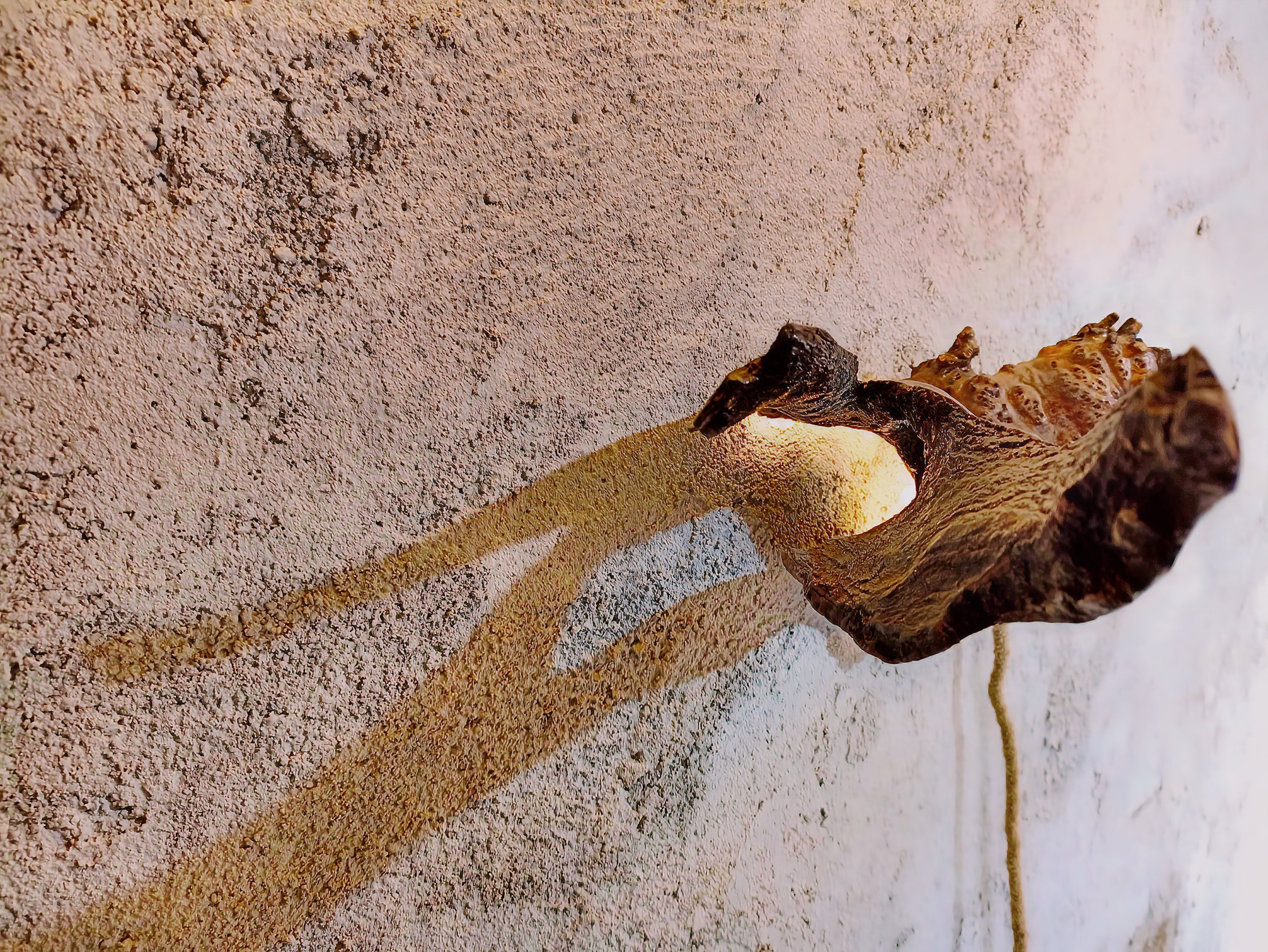 Interesting Tree Stump Wall Lamp - Etsy