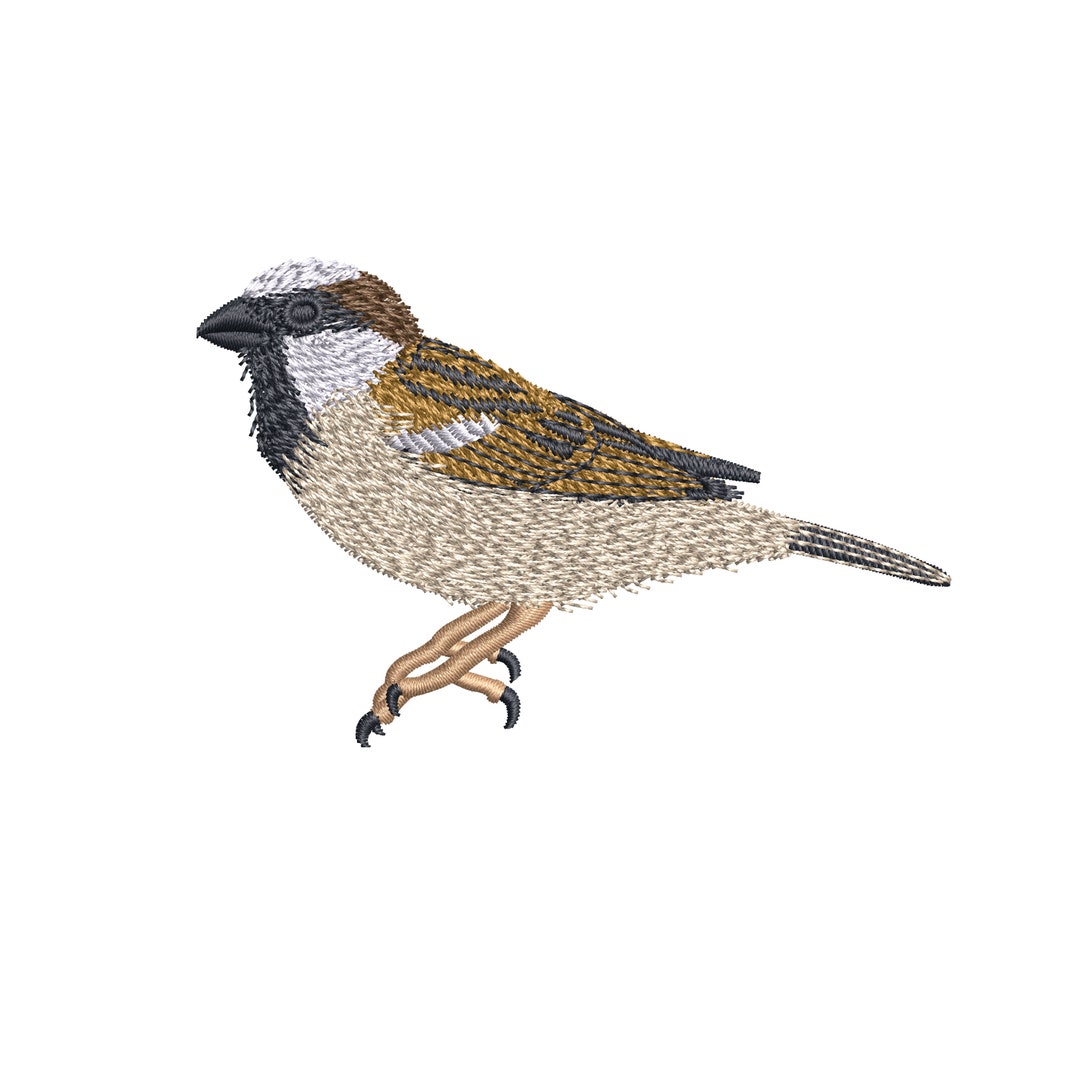 Sparrow Bird Embroidery Design Little Bird Machine Embroidery - Etsy