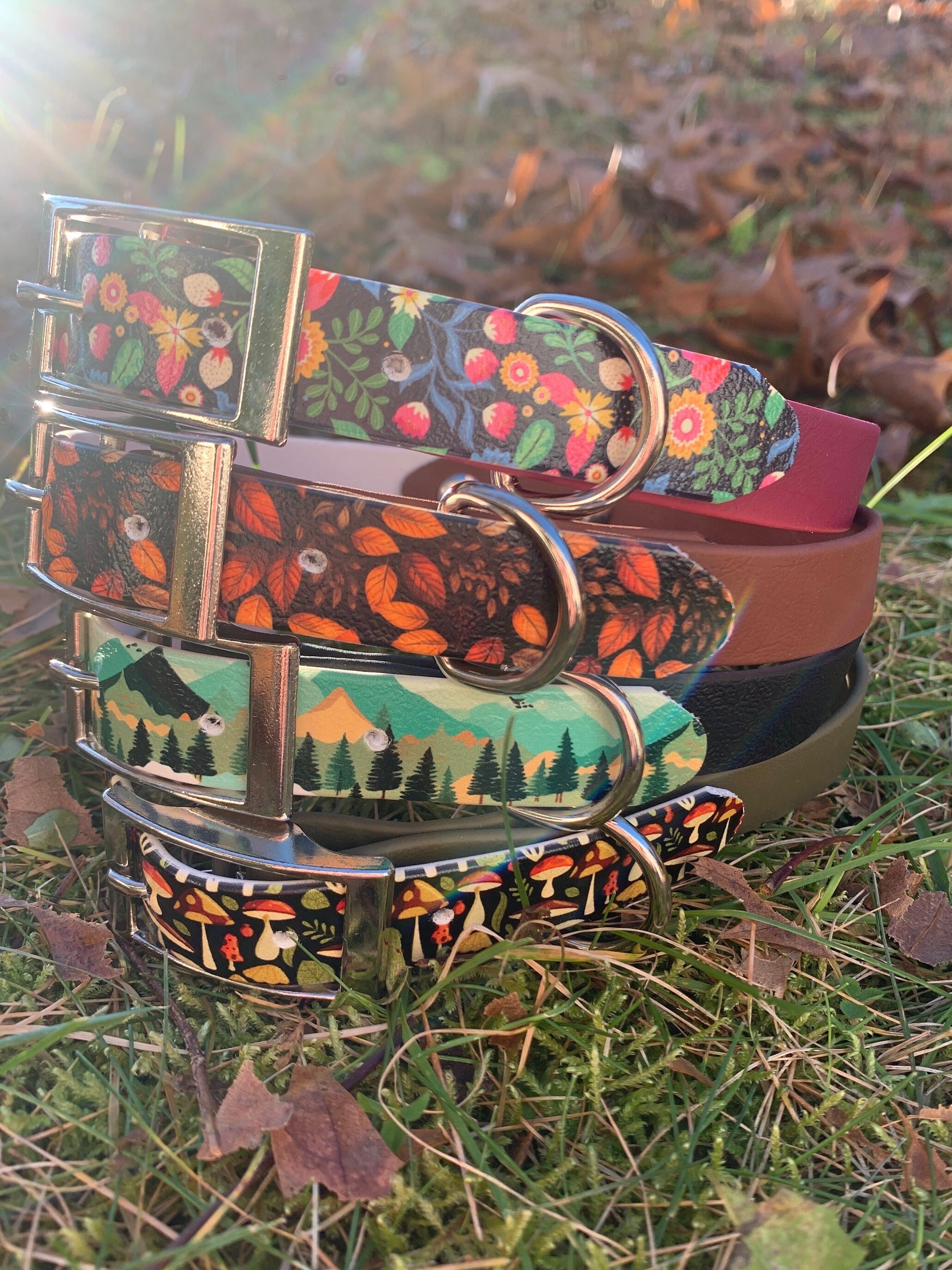 Two-tone Patterned Biothane Dog Gear - Etsy