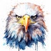 Watercolor Eagle Clipart 10 Digital Clipart Bundle High - Etsy