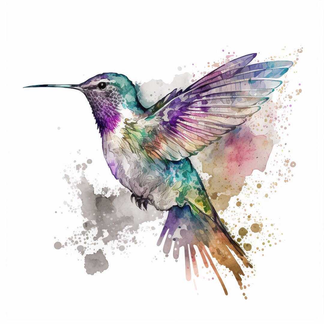 Watercolor Hummingbird 10 Digital Clipart Bundle High - Etsy