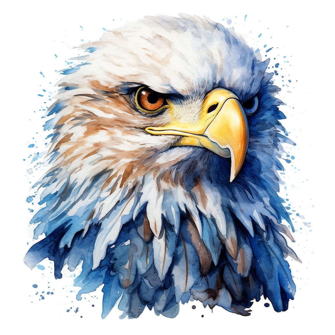 Watercolor Eagle Clipart 10 Digital Clipart Bundle High - Etsy