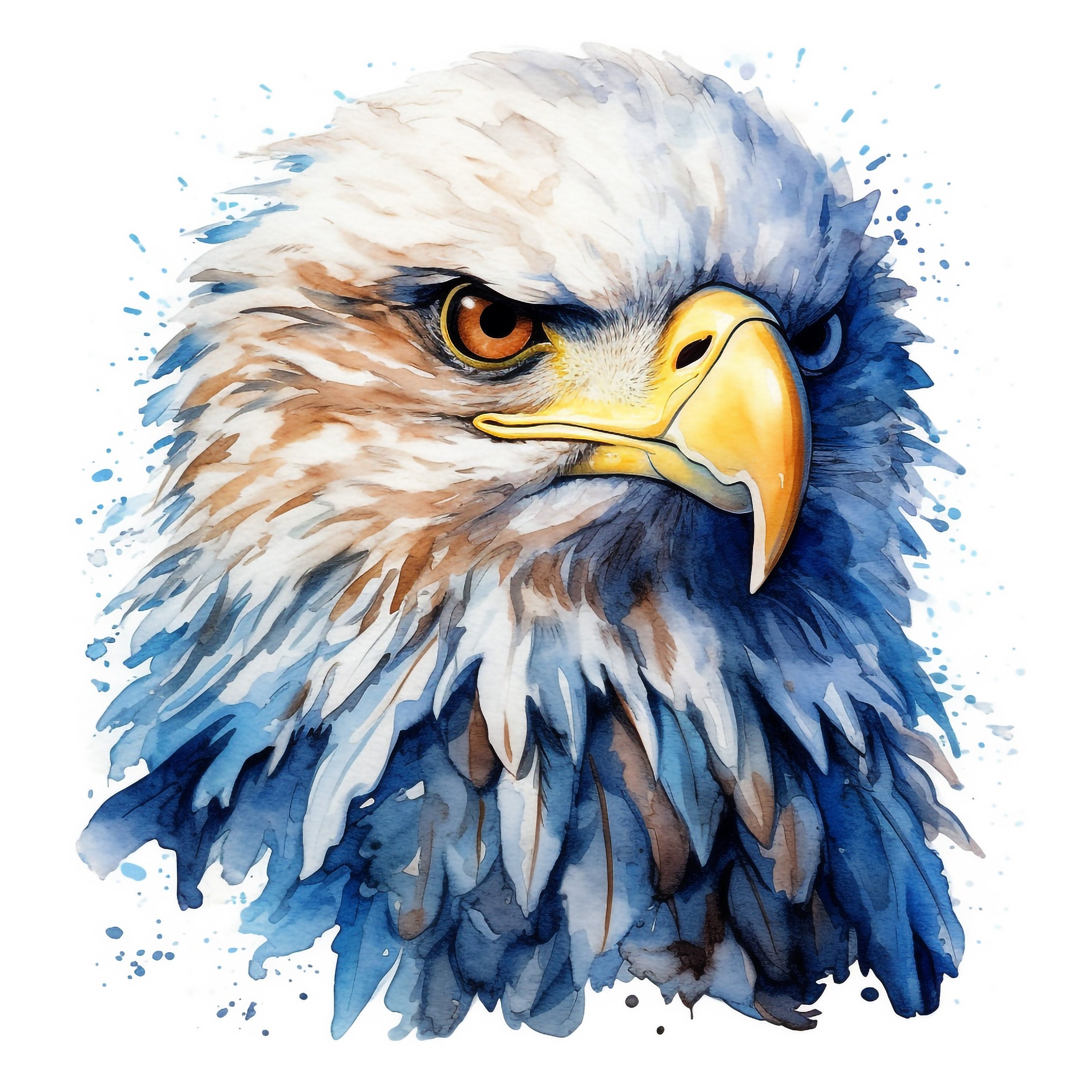 Watercolor Eagle Clipart 10 Digital Clipart Bundle High - Etsy