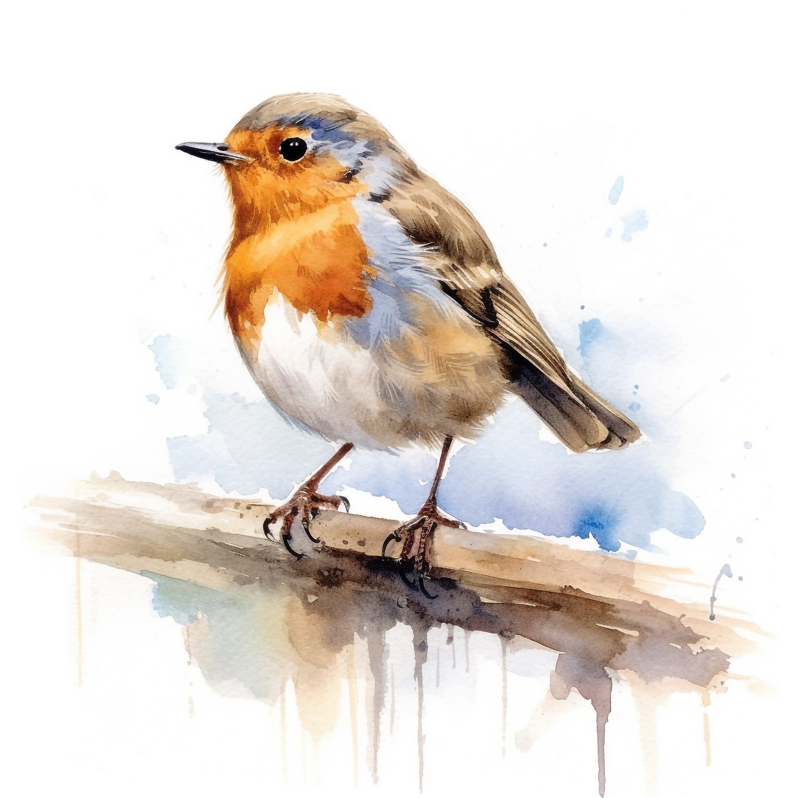 Robin Clipart 10 Digital Clipart Bundle High Quality - Etsy