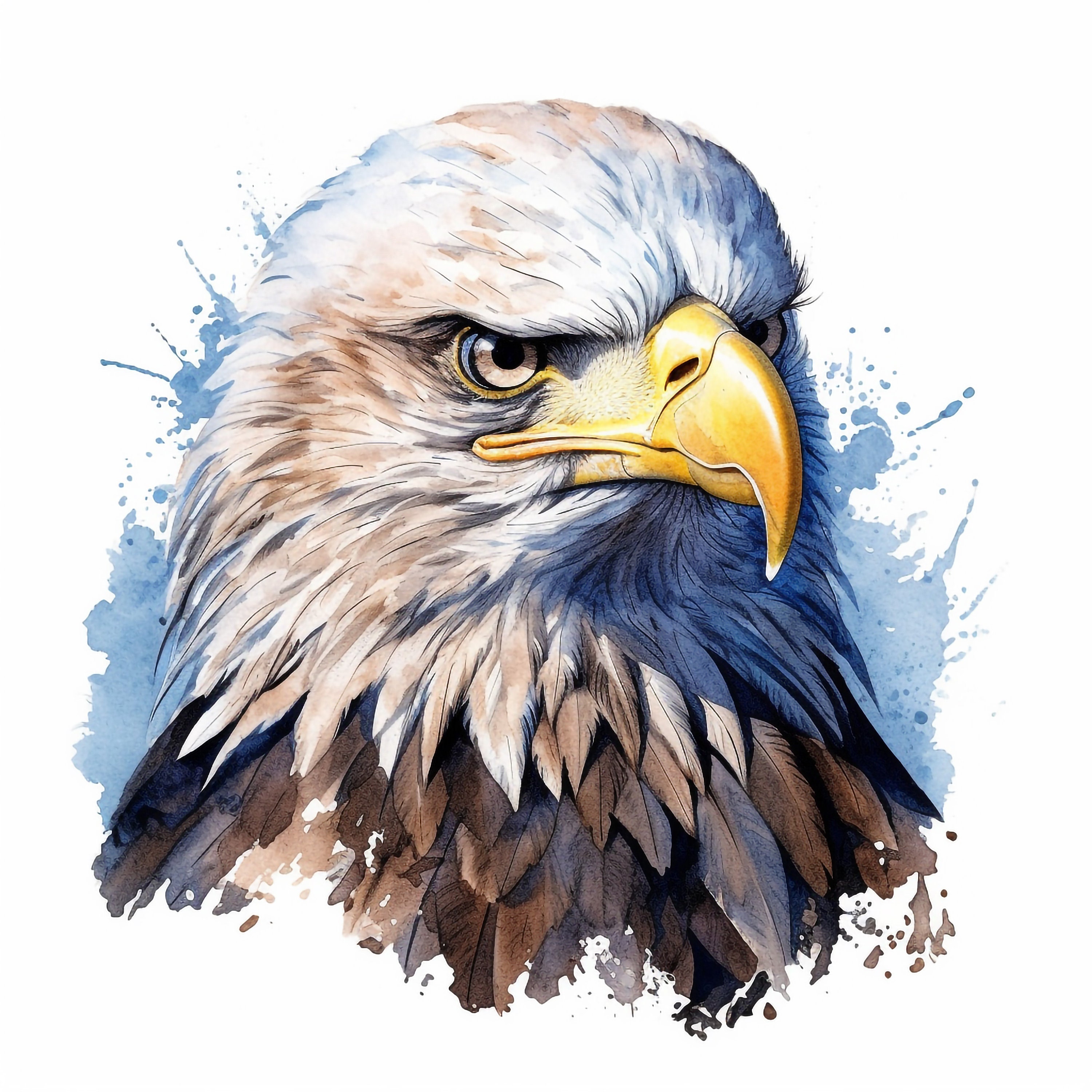 Watercolor Eagle Clipart 10 Digital Clipart Bundle High - Etsy