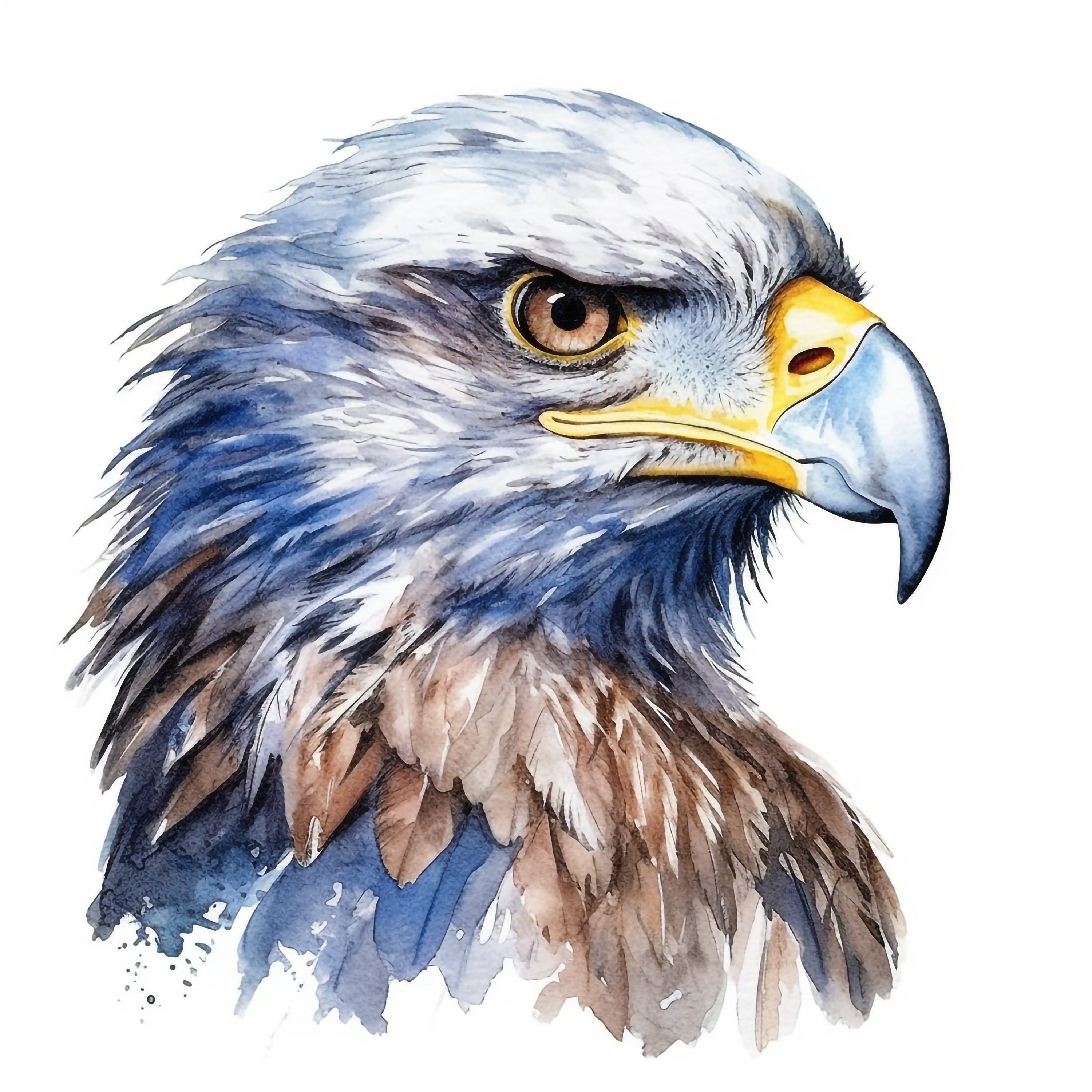 Watercolor Eagle Clipart 10 Digital Clipart Bundle High - Etsy