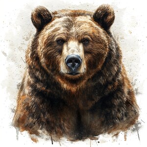 Watercolor Bear Clipart Set of 10 High Quality Pictures Digital ...