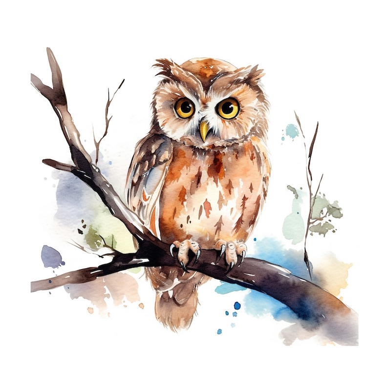 Watercolor Owl 10 Digital Clipart Bundle High Quality - Etsy