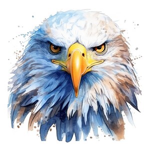 Watercolor Eagle Clipart 10 Digital Clipart Bundle High - Etsy
