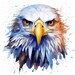 Watercolor Eagle Clipart 10 Digital Clipart Bundle High - Etsy