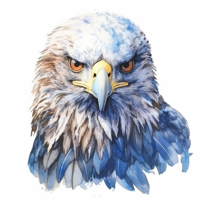 Watercolor Eagle Clipart 10 Digital Clipart Bundle High - Etsy
