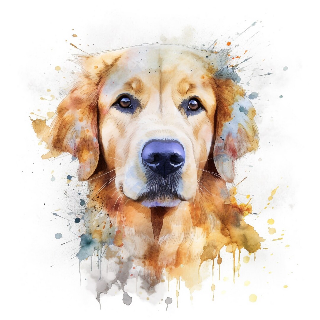 Watercolor Golden Retriever Clipart - Set of 10 High Quality Jpgs ...
