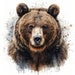 Watercolor Bear Clipart Set of 10 High Quality Pictures Digital ...