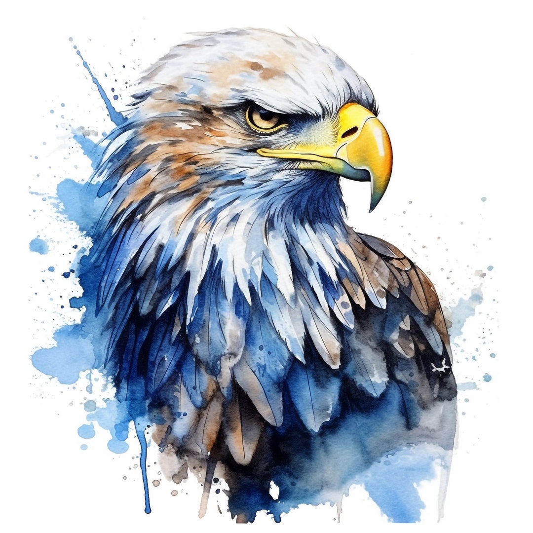 Watercolor Eagle Clipart 10 Digital Clipart Bundle High Quality Images ...