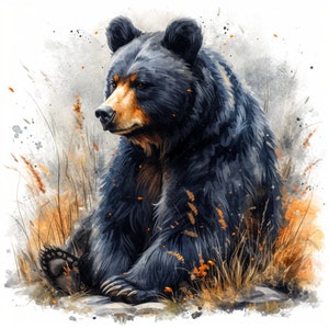 Watercolor Bear Clipart - Set of 10 High Quality Pictures - Digital ...