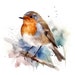 Watercolor Robin - 10 Digital Clipart Bundle - High Quality Images ...
