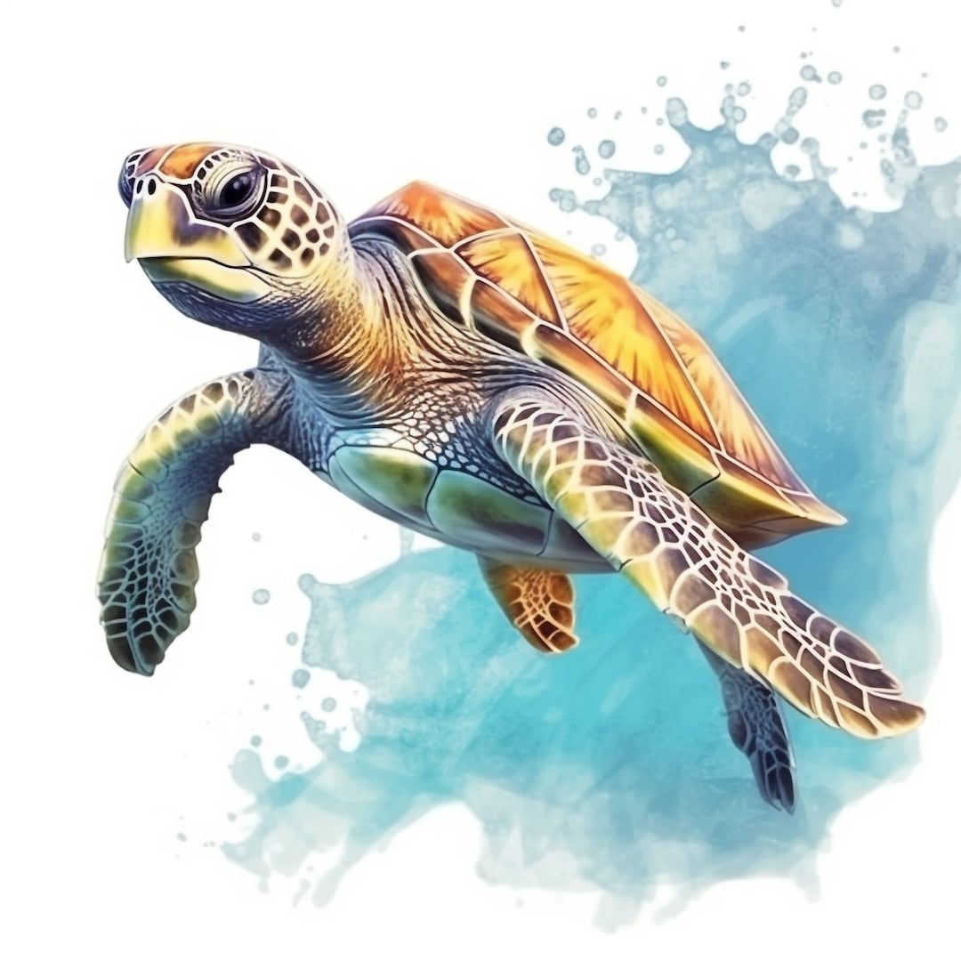 Watercolor Sea Turtle Clipart 10 Digital Clipart Bundle - Etsy