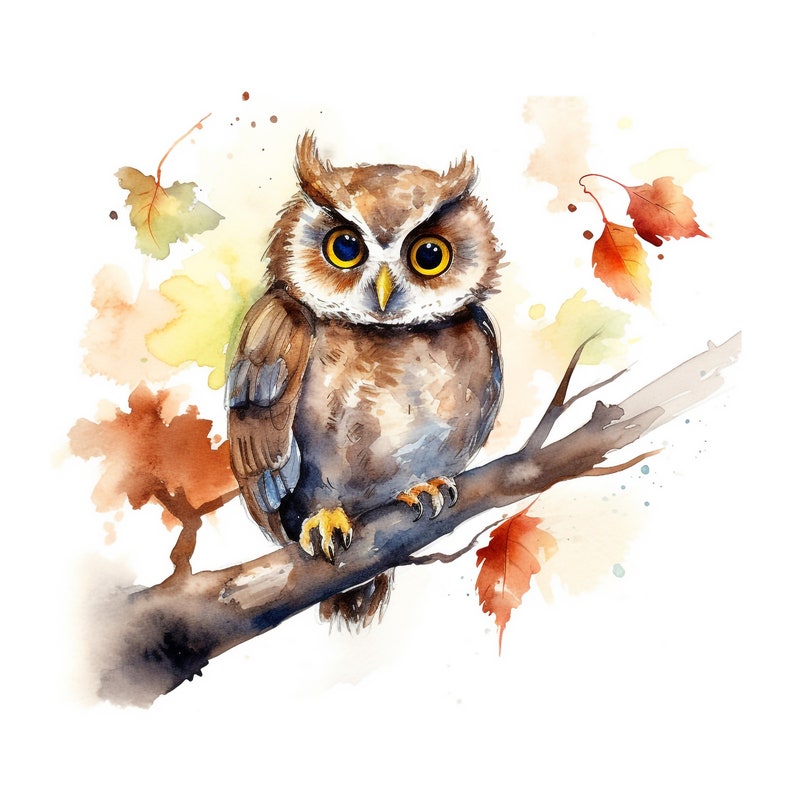 Watercolor Owl 10 Digital Clipart Bundle High Quality - Etsy