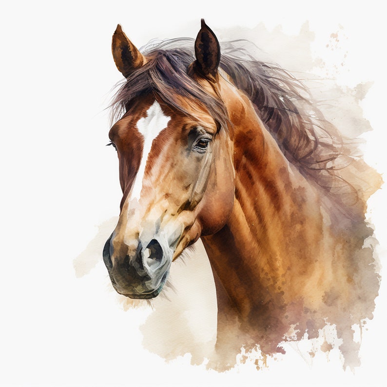 Watercolor Horse Clipart Set of 10 High Quality Jpgs - Etsy