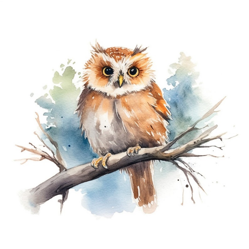 Watercolor Owl 10 Digital Clipart Bundle High Quality - Etsy