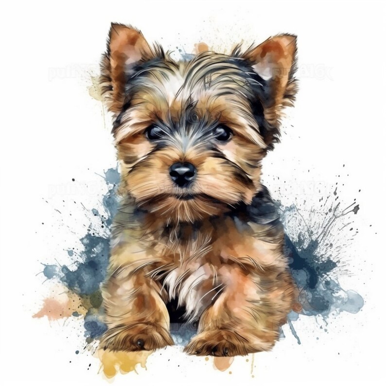 Watercolor Yorkshire Terrier Puppy Clipart Set of 10 High - Etsy