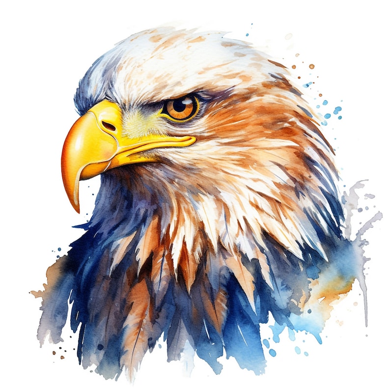 Watercolor Eagle Clipart 10 Digital Clipart Bundle High - Etsy