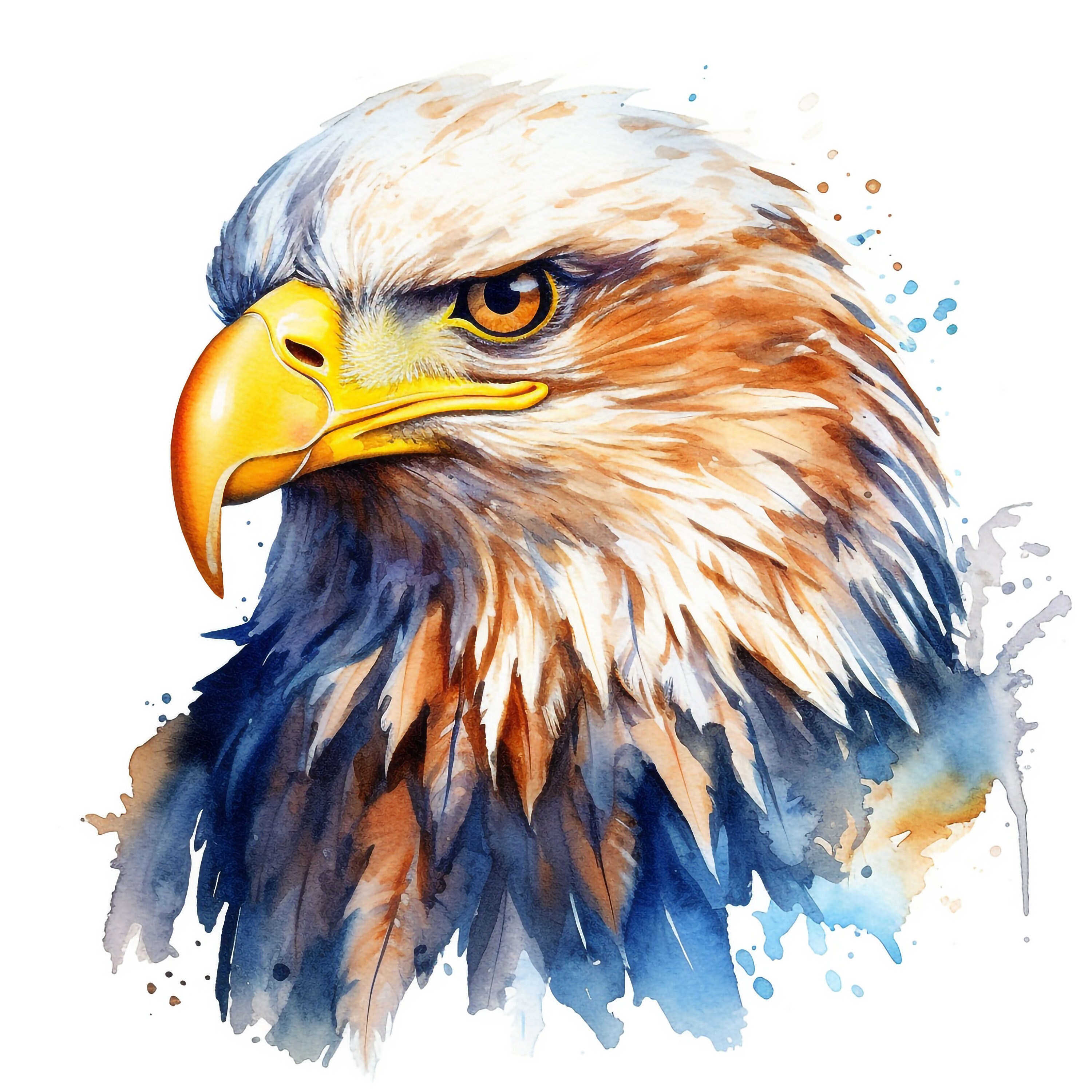 Watercolor Eagle Clipart 10 Digital Clipart Bundle High - Etsy