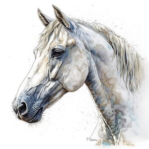 Watercolor White Horse Clipart - Set of 10 High Quality Jpgs - Digital ...