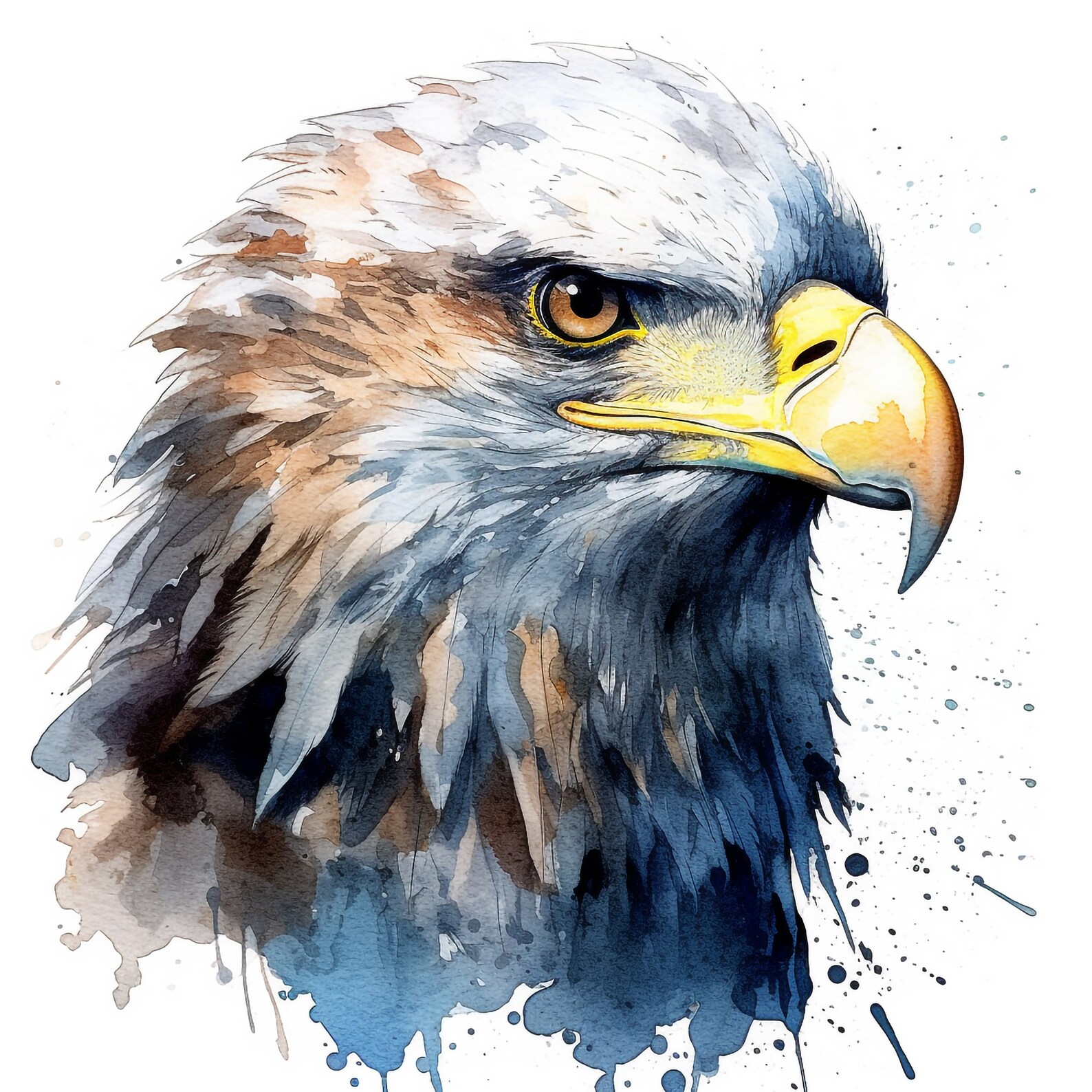 Watercolor Eagle Clipart 10 Digital Clipart Bundle High - Etsy