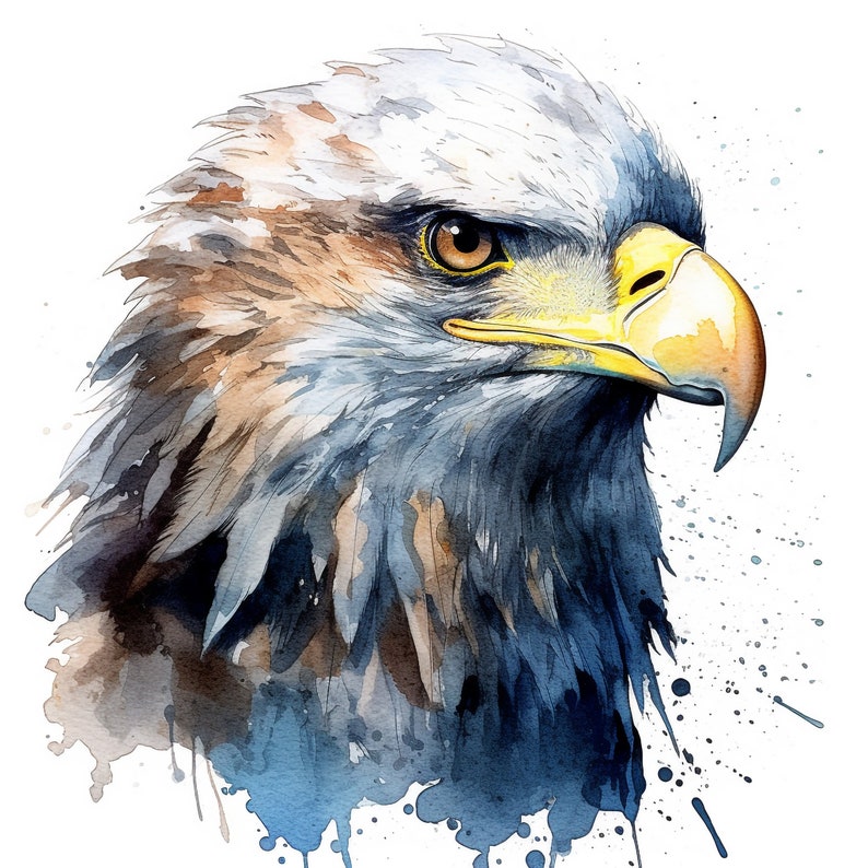 Watercolor Eagle Clipart 10 Digital Clipart Bundle High - Etsy