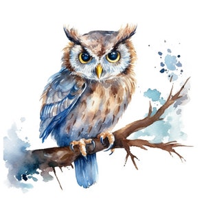 Watercolor Owl - 10 Digital Clipart Bundle - High Quality Images ...