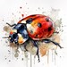 Watercolor Ladybug Clipart Set of 10high Quality Images Digital ...