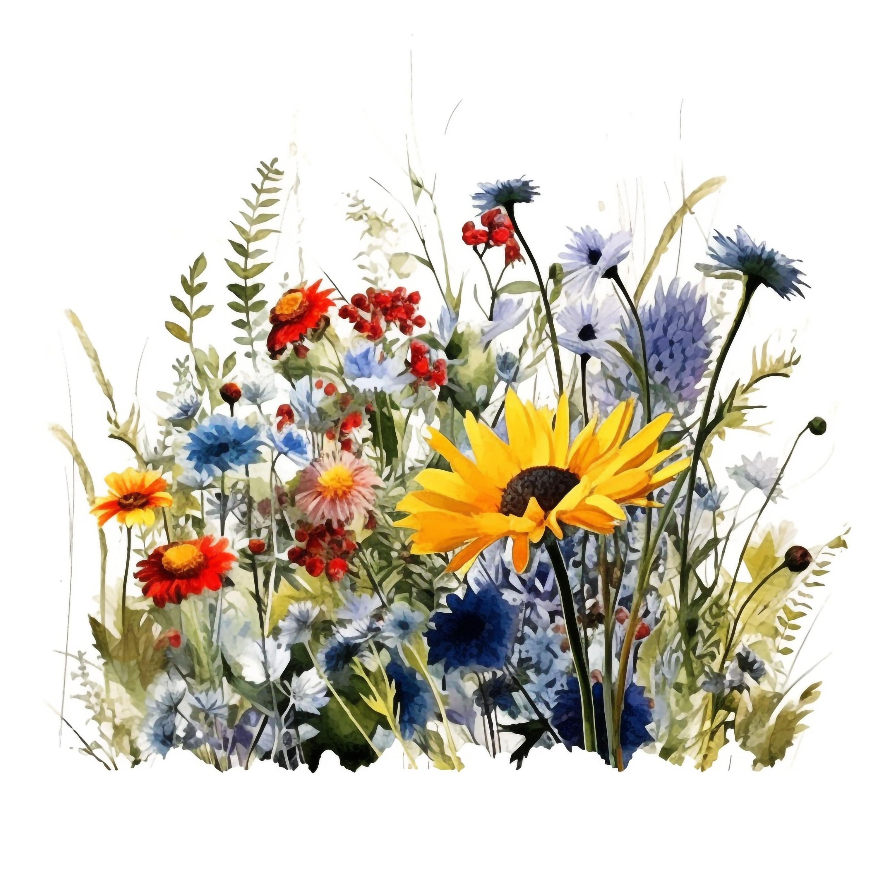 Wild Flowers Clipart 10 Digital Clipart Bundle High - Etsy