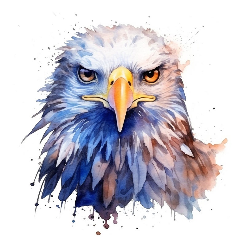 Watercolor Eagle Clipart 10 Digital Clipart Bundle High - Etsy