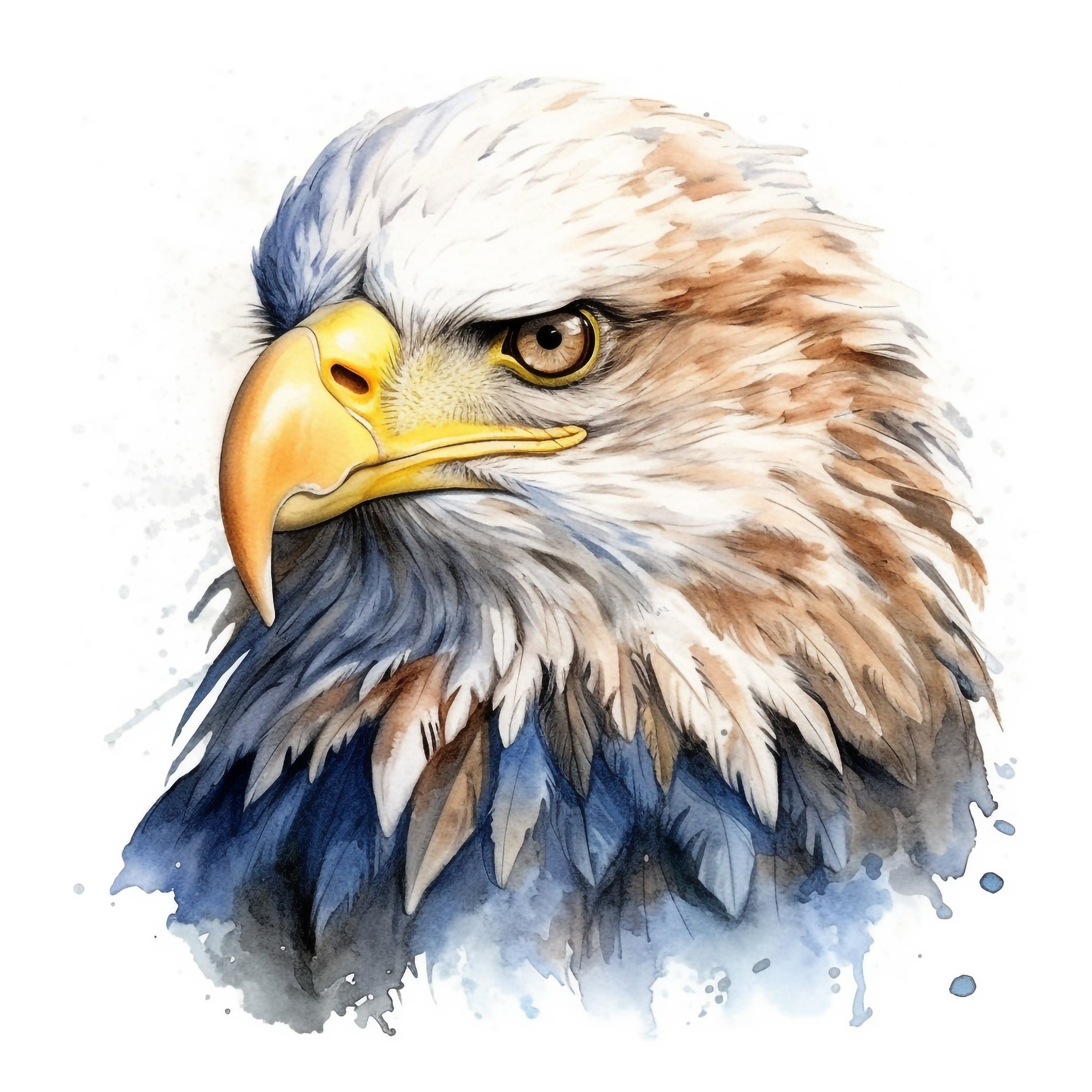 Watercolor Eagle Clipart 10 Digital Clipart Bundle High - Etsy