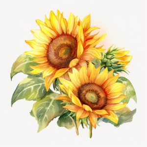Watercolor Sunflowers Set of 10 Digital Clipart Bundle High Quality ...