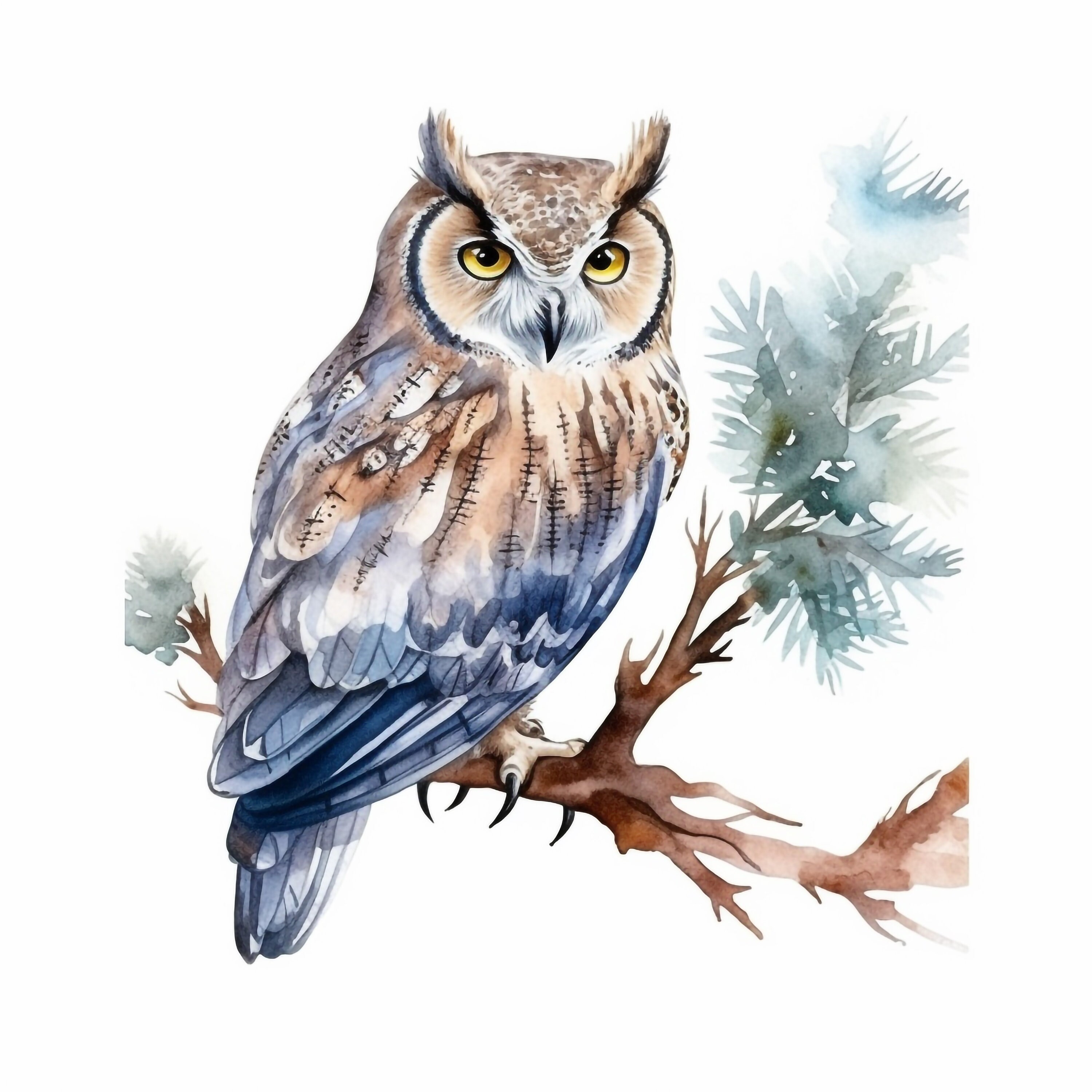 Watercolor Owl 10 Digital Clipart Bundle High Quality - Etsy