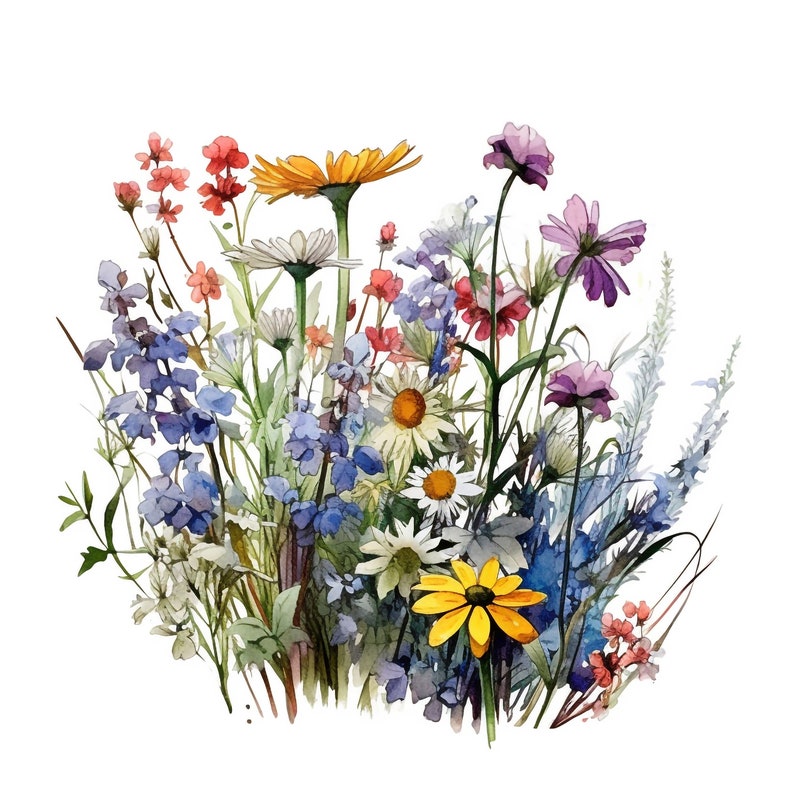 Wild Flowers Clipart 10 Digital Clipart Bundle High - Etsy