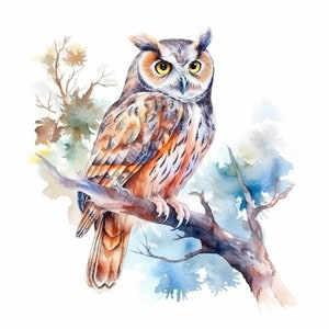 Watercolor Owl 10 Digital Clipart Bundle High Quality Images ...